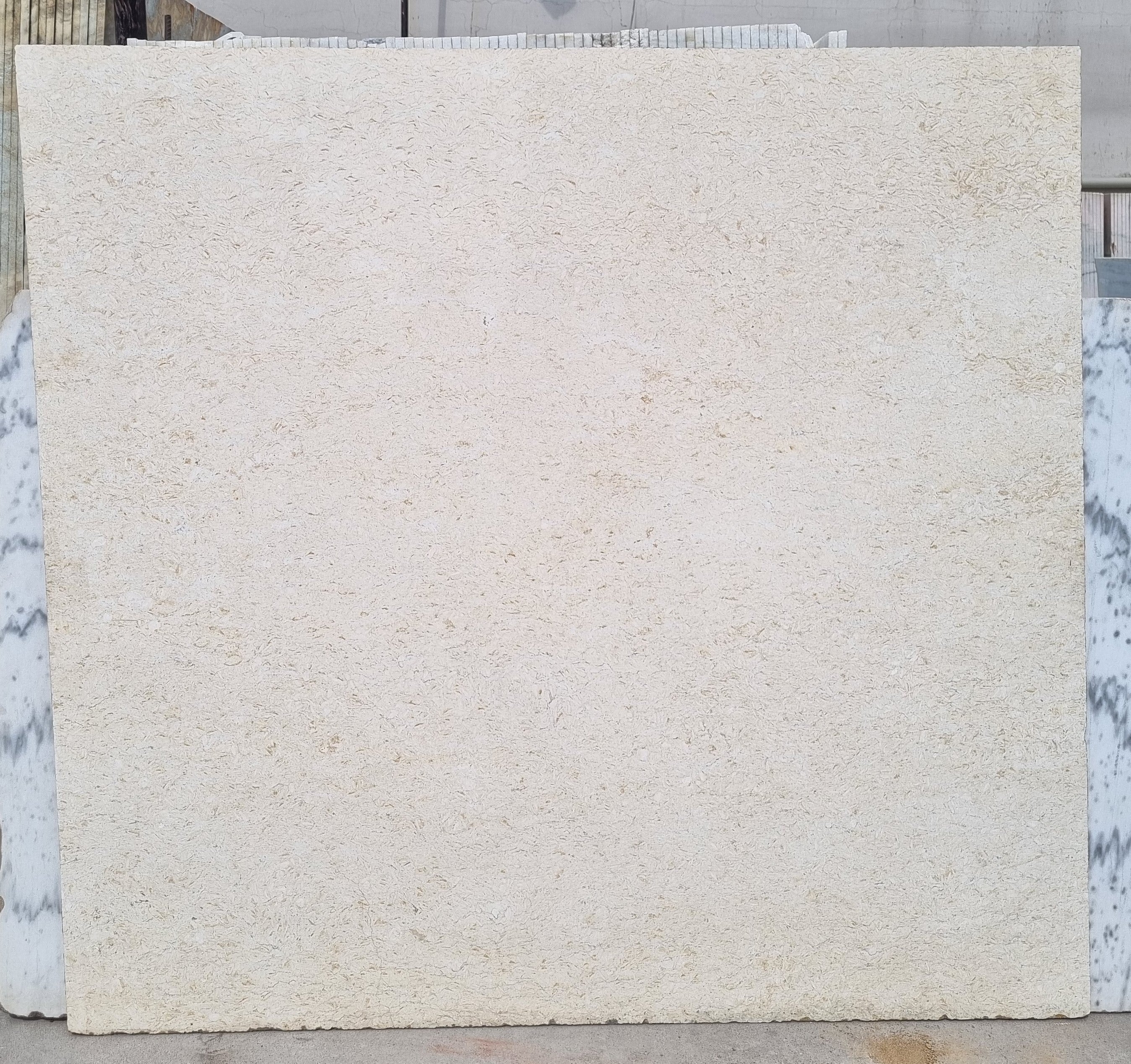 Crema Marfil (Lot no 50) – MAMTA MARBLES